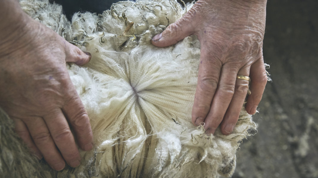 Home - Hirsch Tailoring